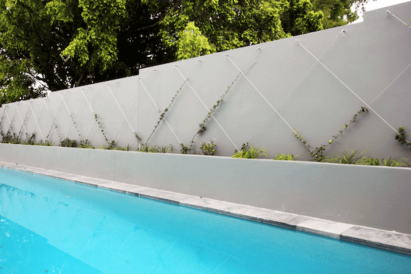 Using Stainless Steel Wire For Garden Trellis